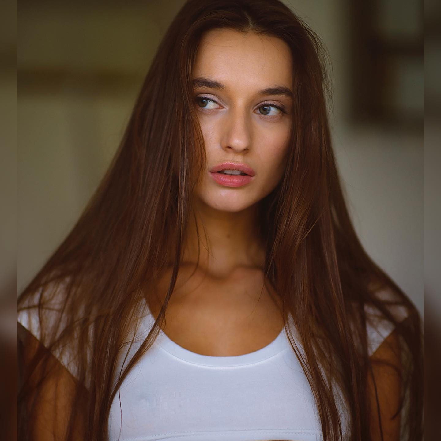 Who is Gloria Sol? Career, Family, Net Worth, Age, Height & More ...