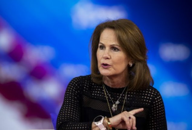 Julie Strauss Levin Age, Bio, Husband, Career, Net Worth & More ...